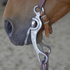 Western Bits – Tack Shack Of Ocala