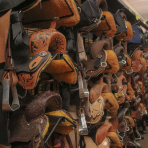 Western Saddles – Tack Shack Of Ocala