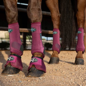 Horse Leg Protection – Tack Shack Of Ocala
