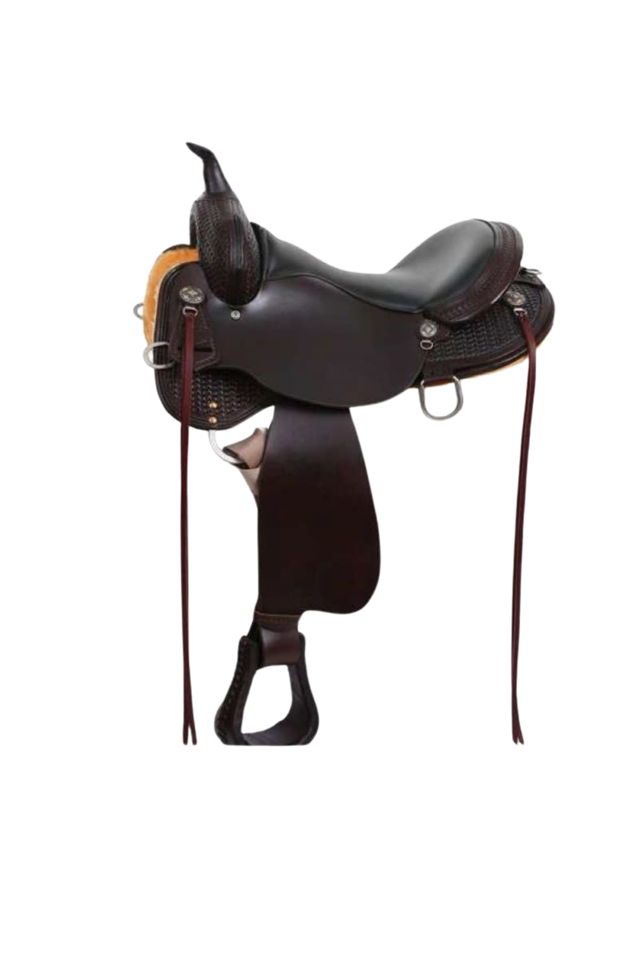 CIRCLE Y ARROW CREEK TRAIL – Tack Shack Of Ocala