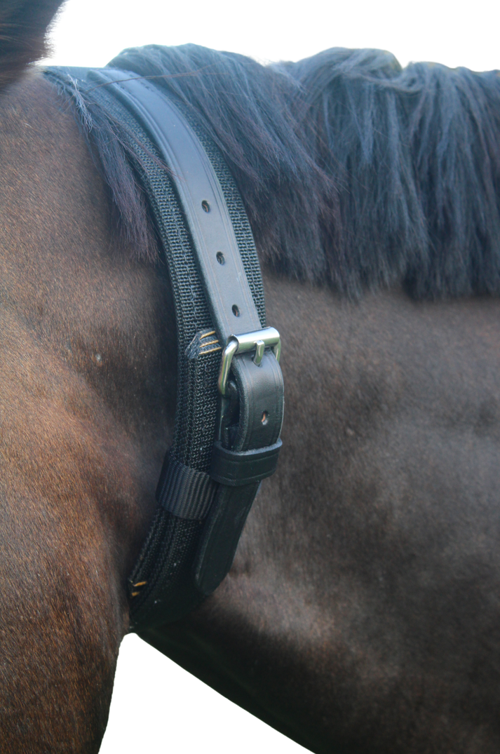 TS Deluxe Nylon Cribbing Strap – Tack Shack Of Ocala
