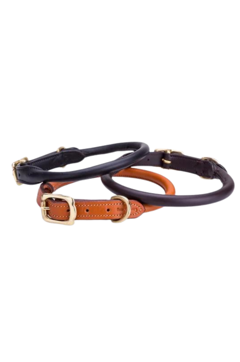 TS Leather Rolled Dog Collar – Tack Shack Of Ocala